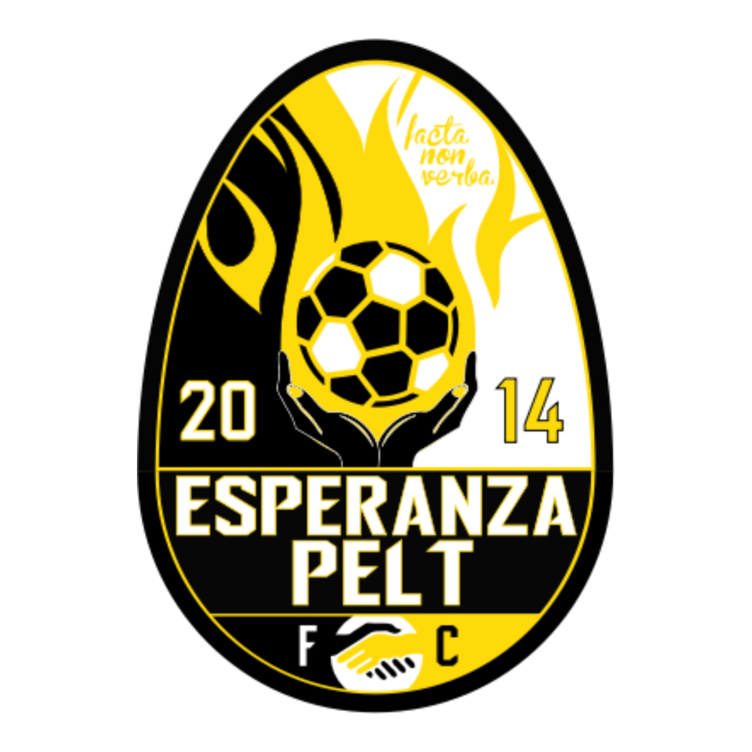 Stand van zaken A-kern voor het seizoen 2025-2026 – Racing Mechelen